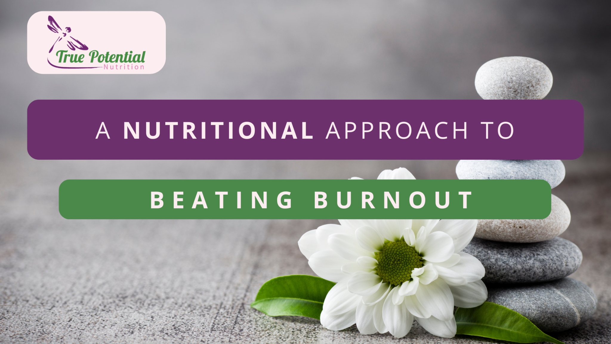 Food Selectivity: An ABA Approach to Mealtime Behaviors - True ...